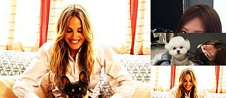 Recently voted image lists