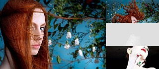 Recently voted image lists