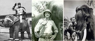 Recently voted image lists