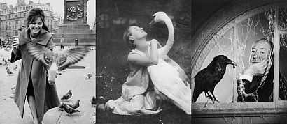 Picture of Willy Rey